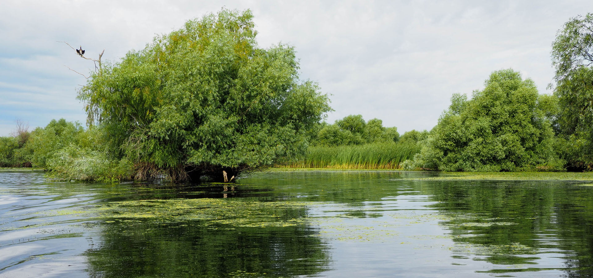 Duna-delta - egy életre szóló kaland - Mercurius Tour